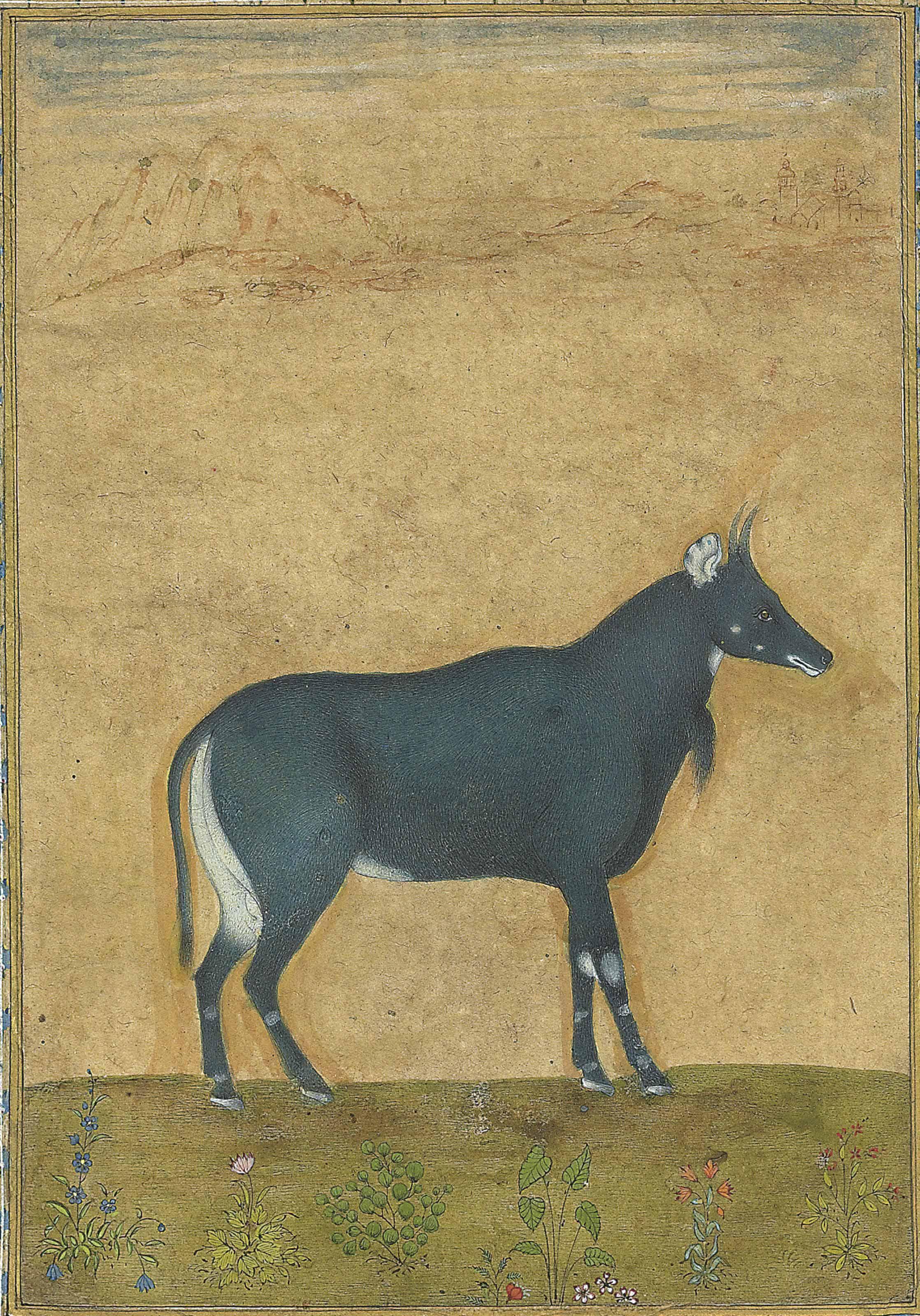 A Black Buck (Nilgai) | Art.Salon