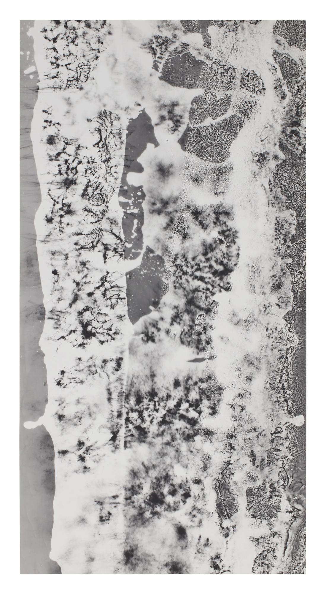 Logos, 2015 by Adam Fuss | Art.Salon