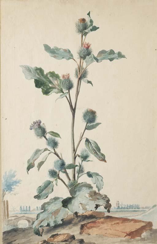 Un chardon dans un paysage, un pont avec un moulin et un village dans ...