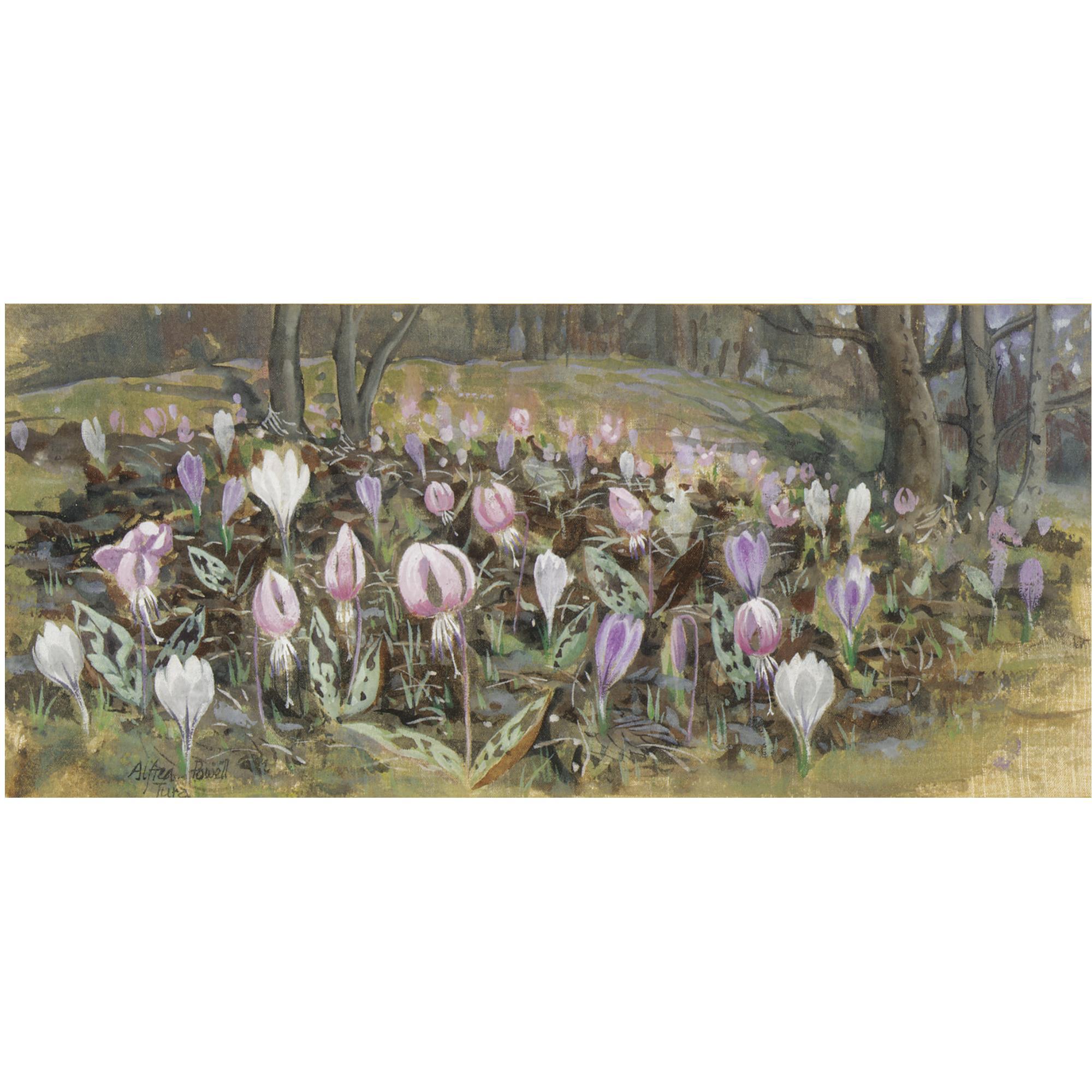 Britishcrocuses On A Woodland Floor; Still Life Of Flowers by Alfred ...