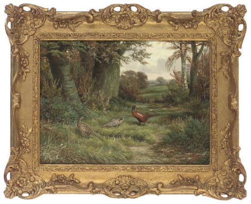 A cock and two hen pheasants in a wooded landscape by Ben Hold | Art.Salon