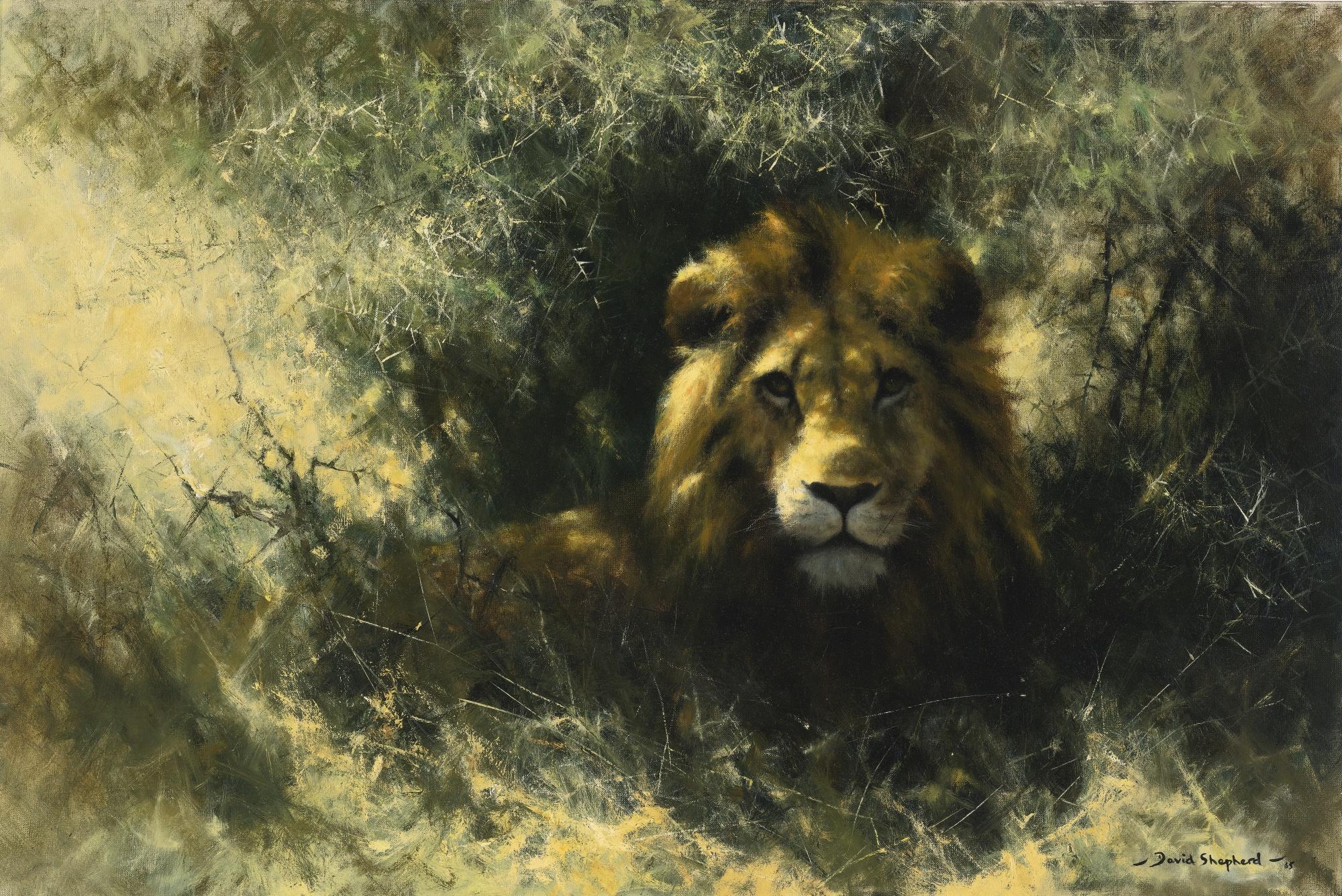 Heat Of The Day, Lion by David Shepherd | Art.Salon