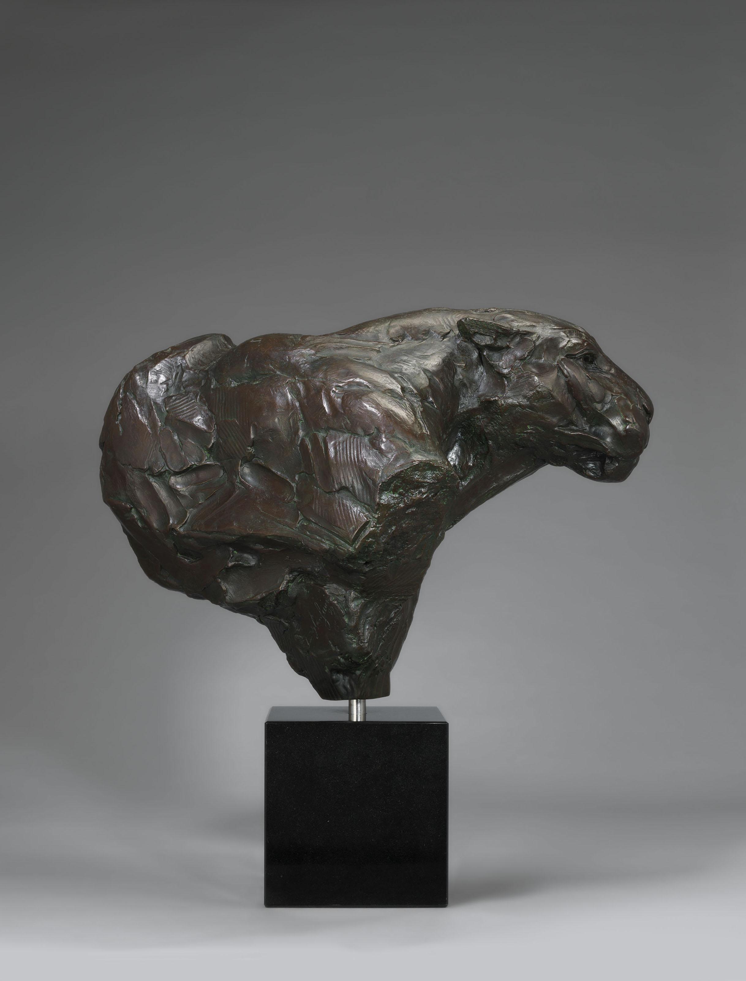 Leopard Bust III by Dylan Lewis | Art.Salon
