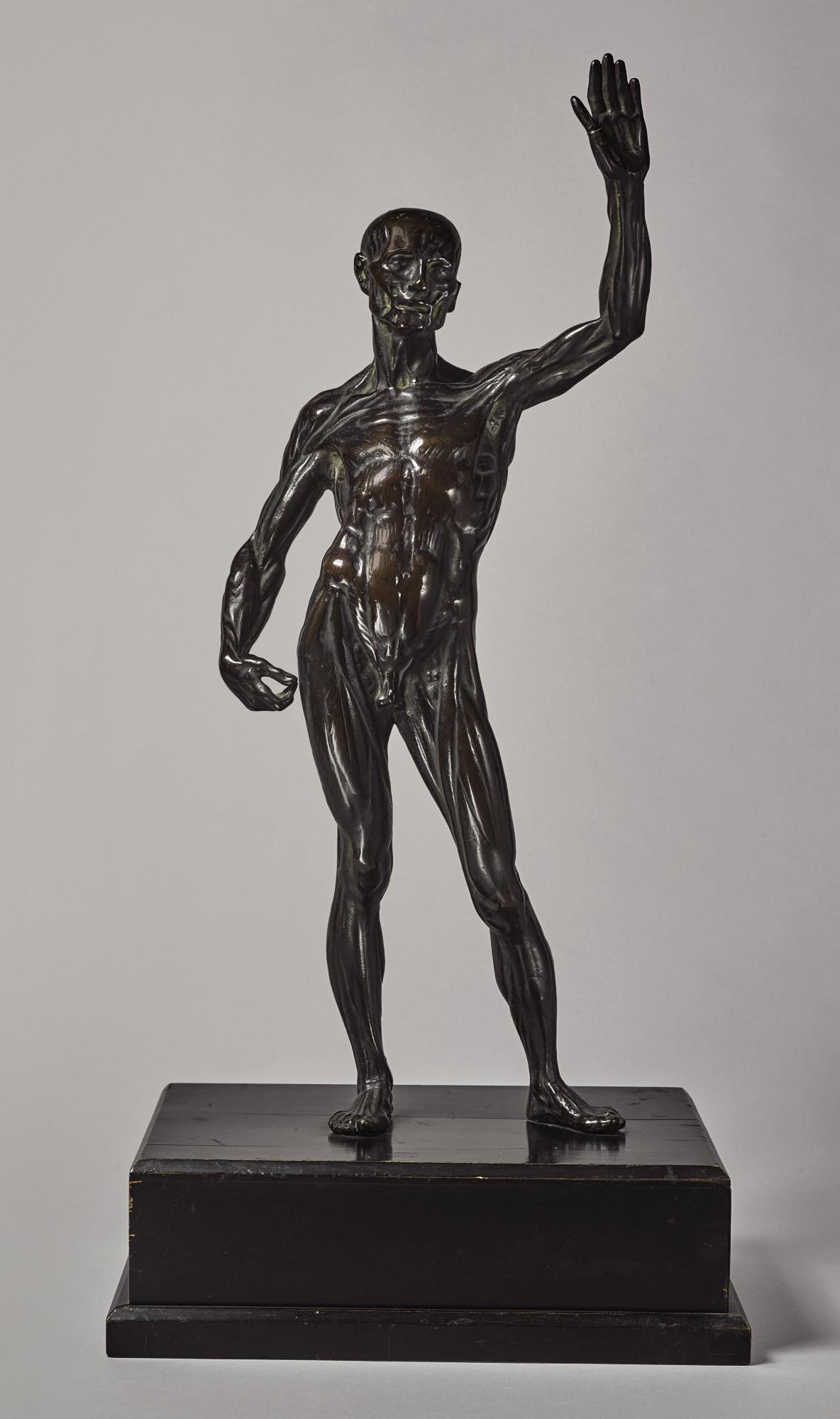 Écorché Figure | Art.Salon