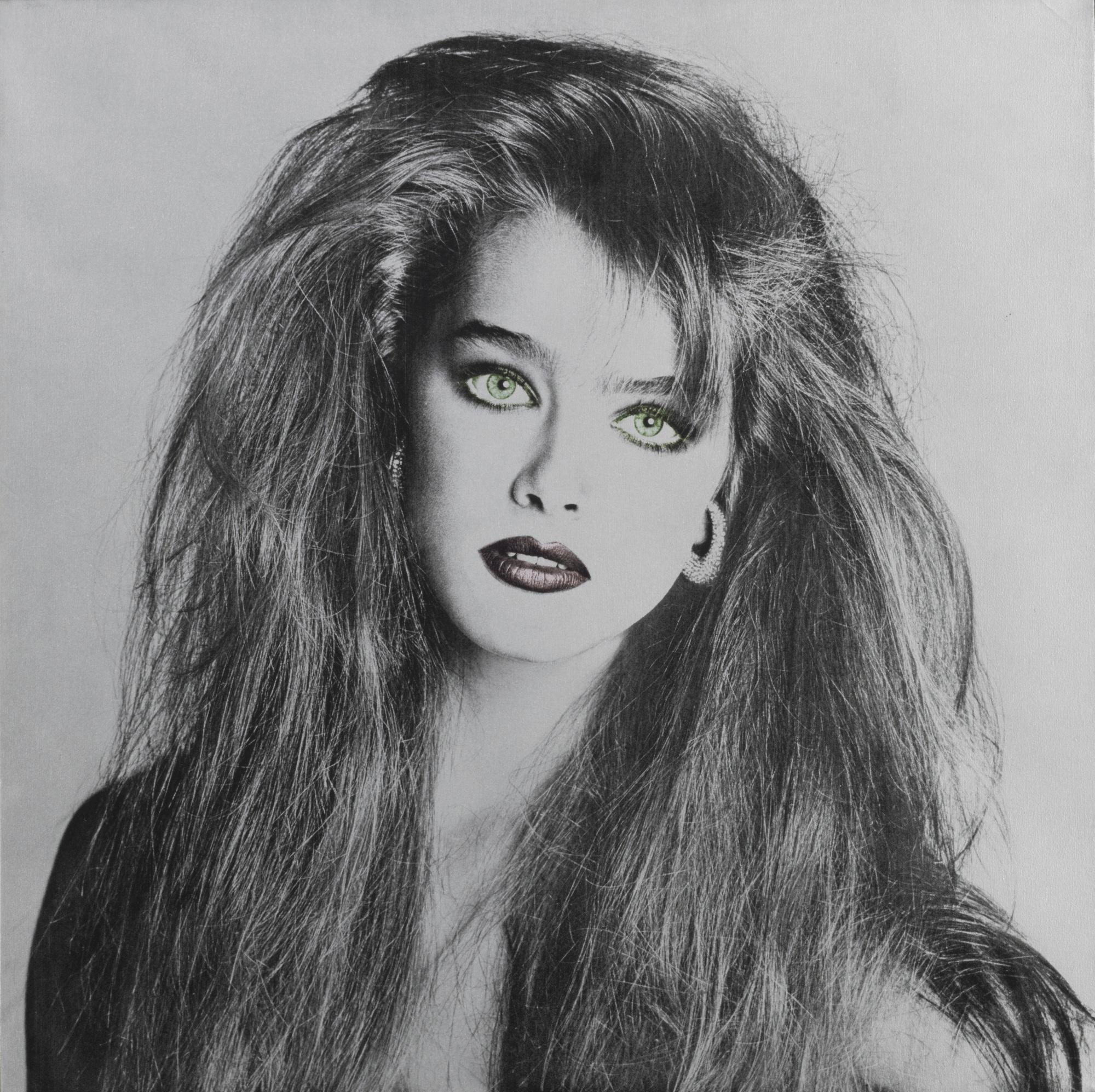 Brooke Shields by Francesco Scavullo | Art.Salon