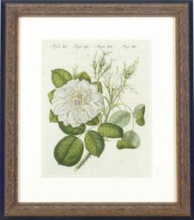 Friedrich Justin Bertuch | 5 Artworks and Similar Artists | Art.Salon