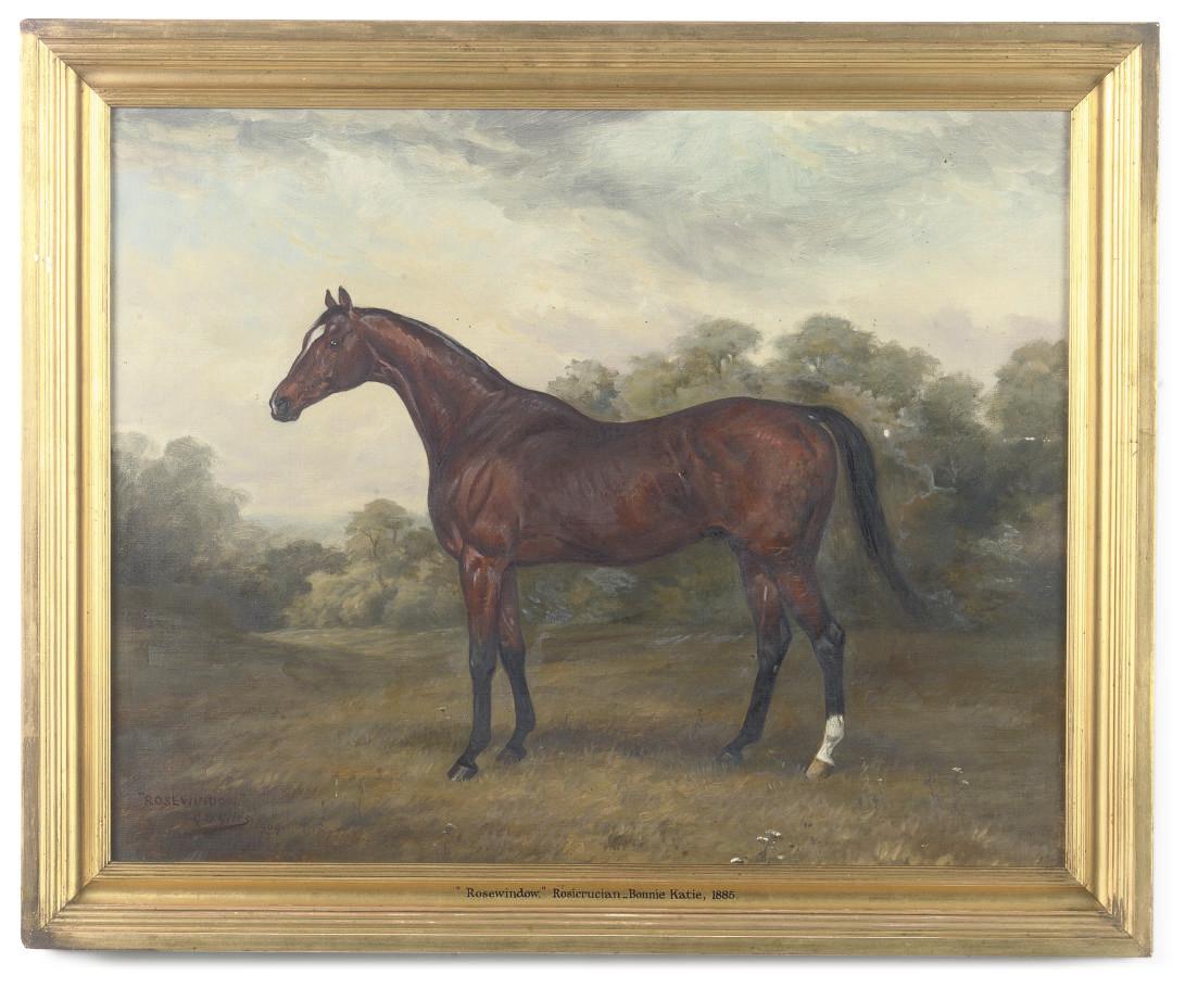 Rosewindow - a hunter in a paddock by Geoffrey Douglas Giles | Art.Salon