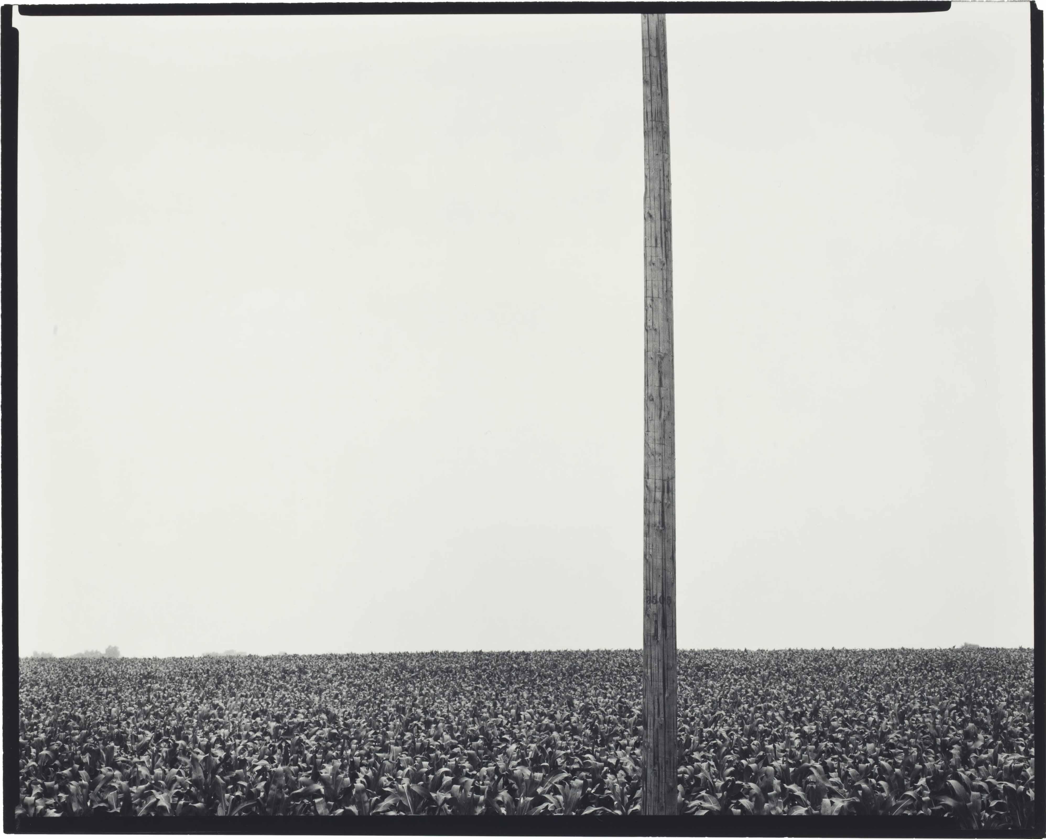 Chicago, 1953 by Harry Callahan | Art.Salon