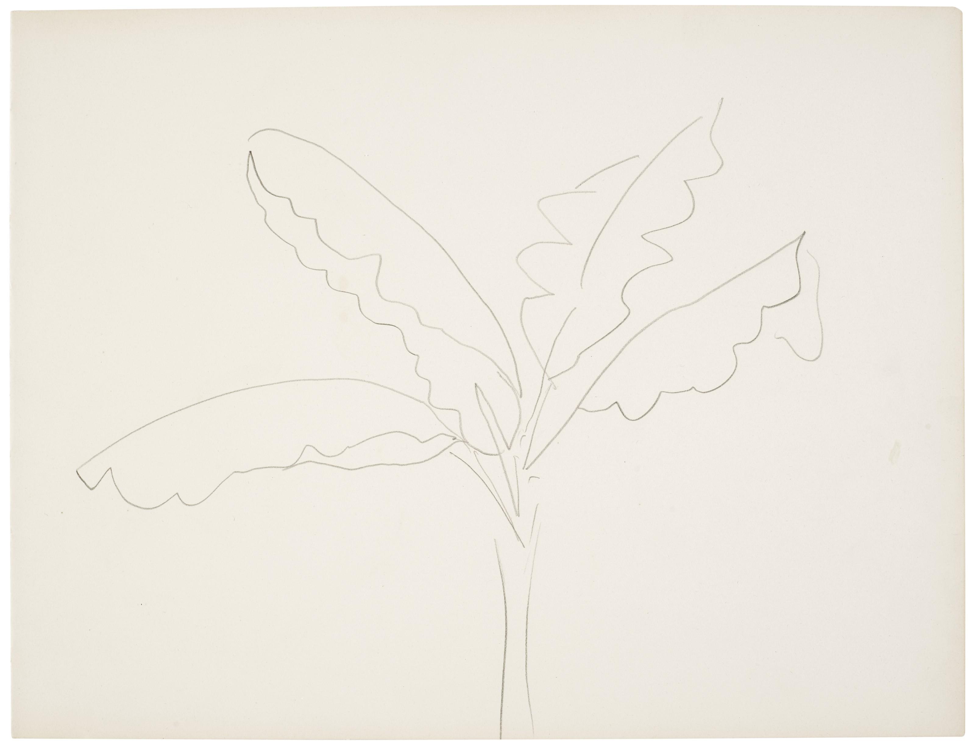 Banannier (Tahiti) by Henri Matisse | Art.Salon