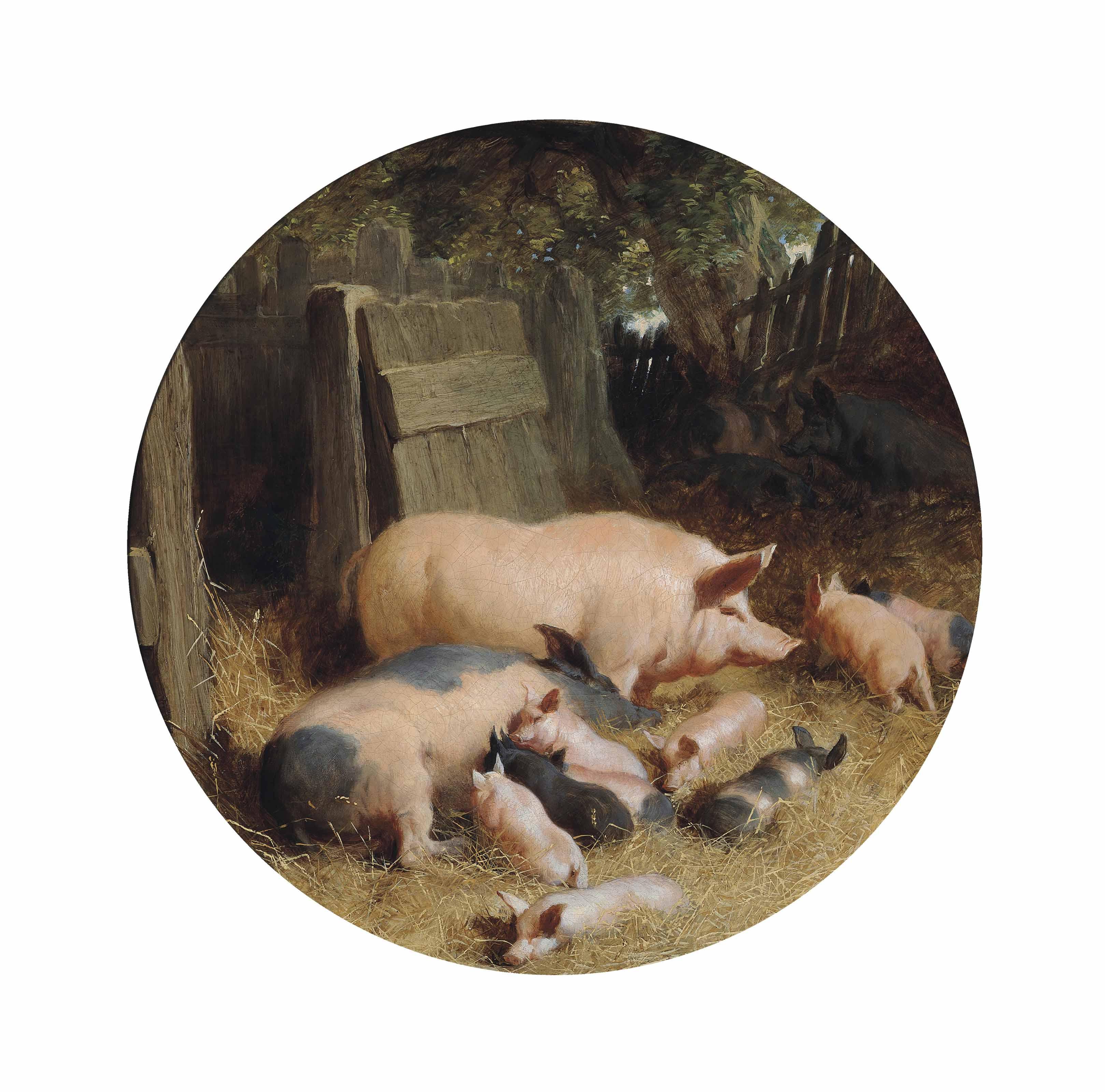 Pigs And Piglets In A Farmyard by John Frederick Herring, Snr. | Art.Salon