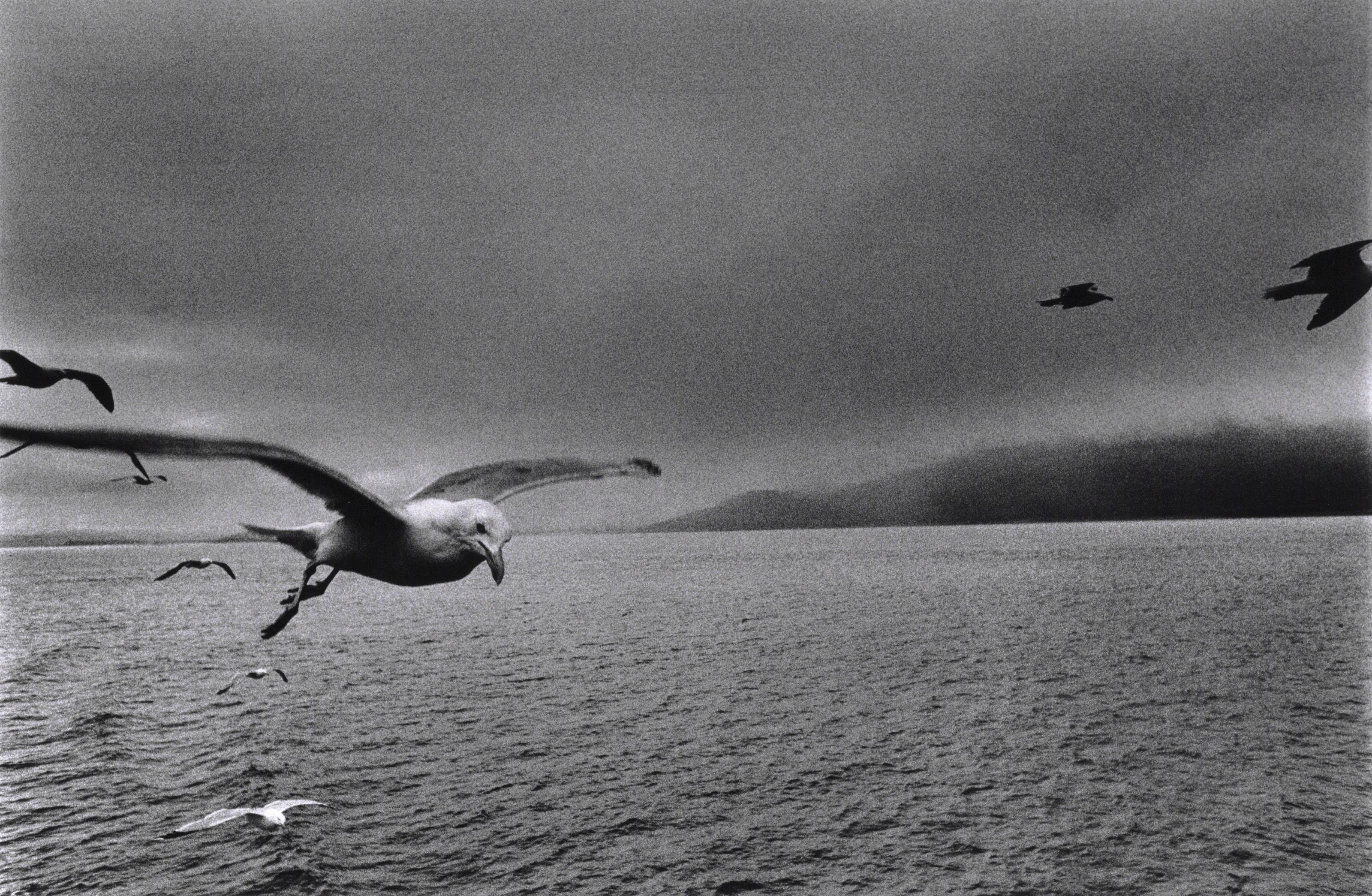 Scotland, 1977 by Josef Koudelka | Art.Salon