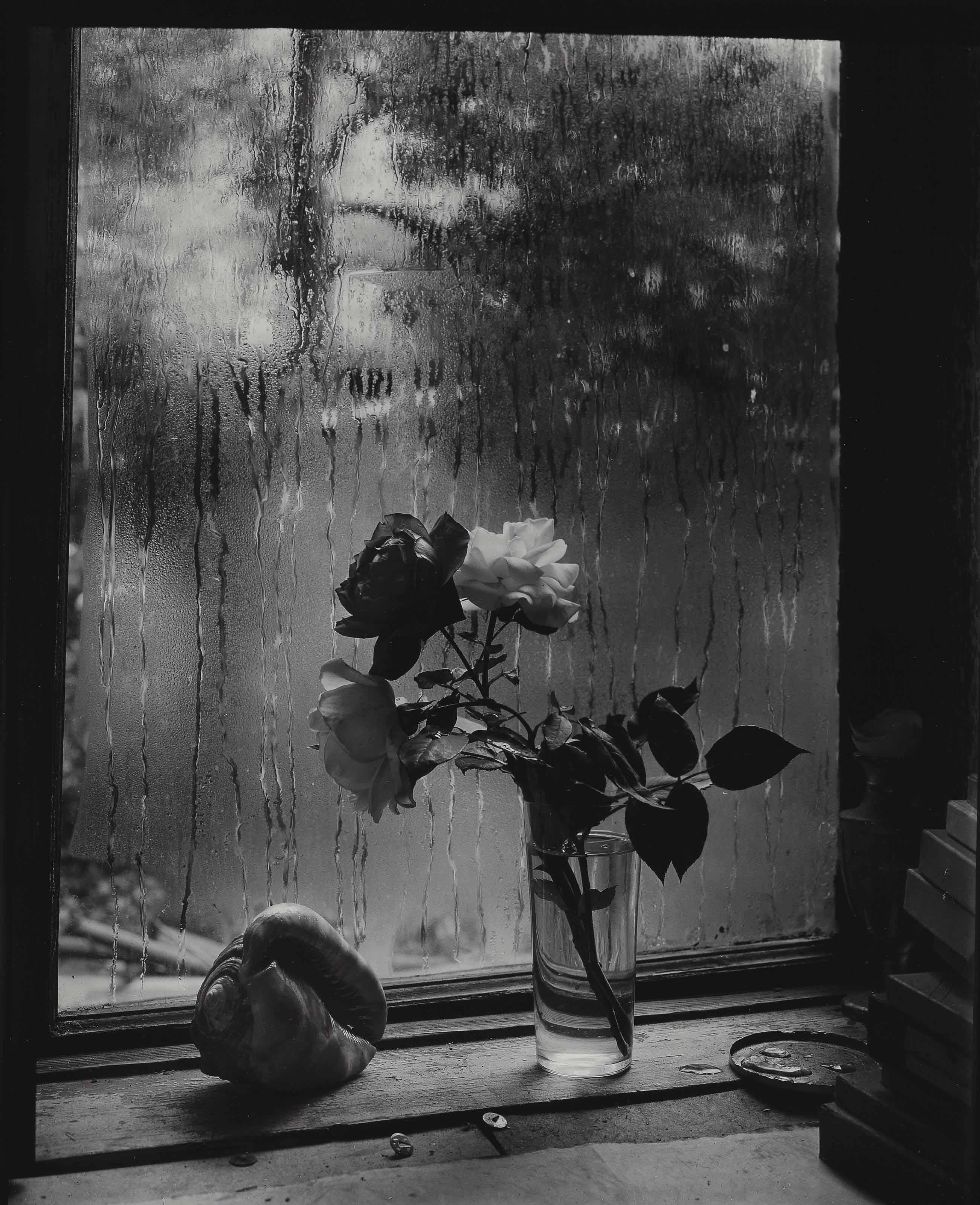 Last Roses from the series 'The Window of My Studio', 1956 by Josef ...