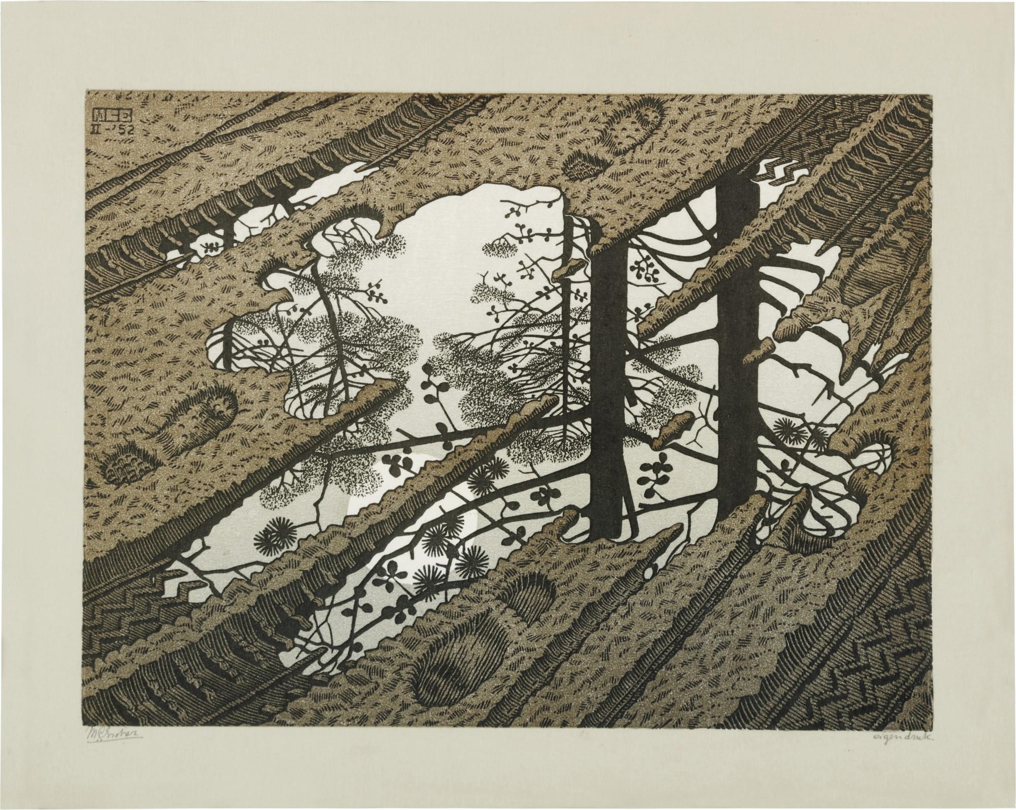 Puddle (Bool/Kist/Locher/Weirda 378) by M. C. Escher | Art.Salon
