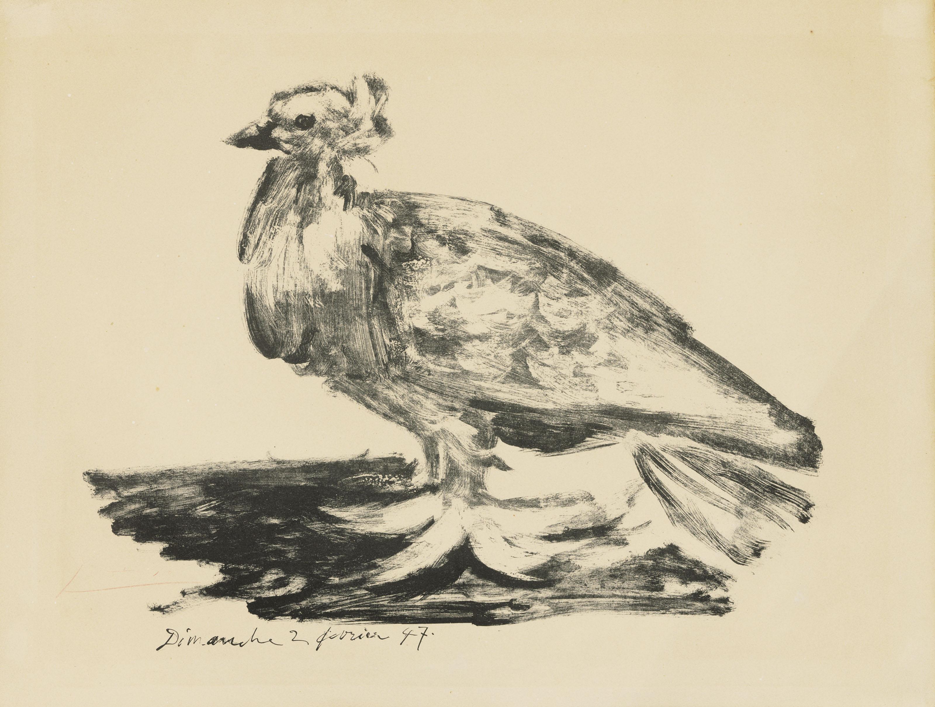 Le gros pigeon by Pablo Picasso | Art.Salon
