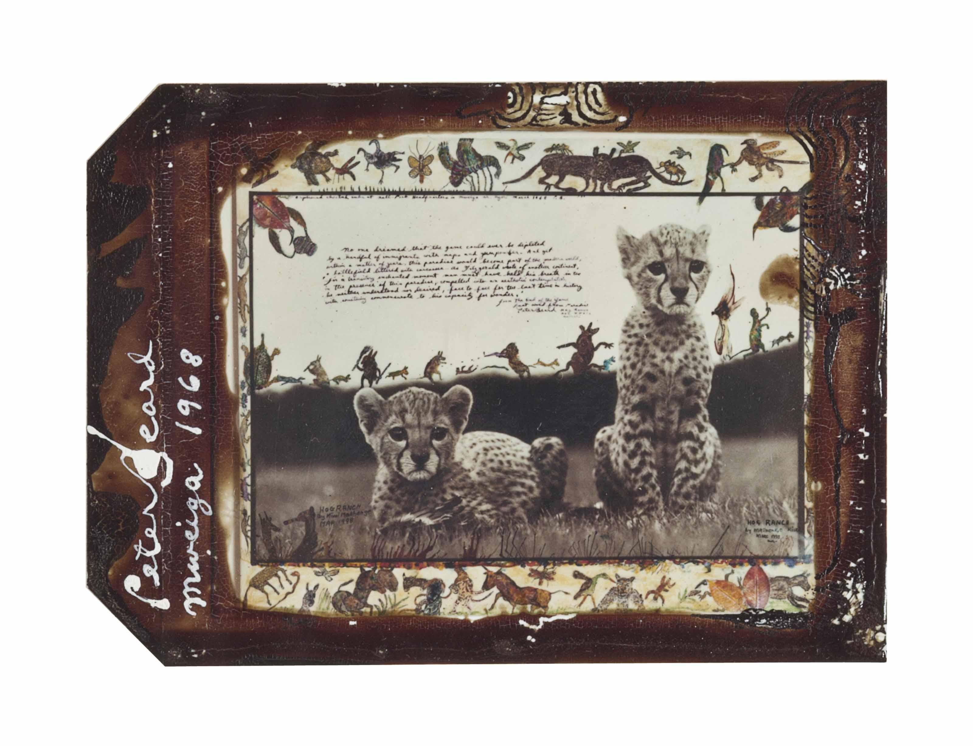 Orphaned Cheetah Cubs, Mweiga, Kenya, 1968 by Peter Beard | Art.Salon