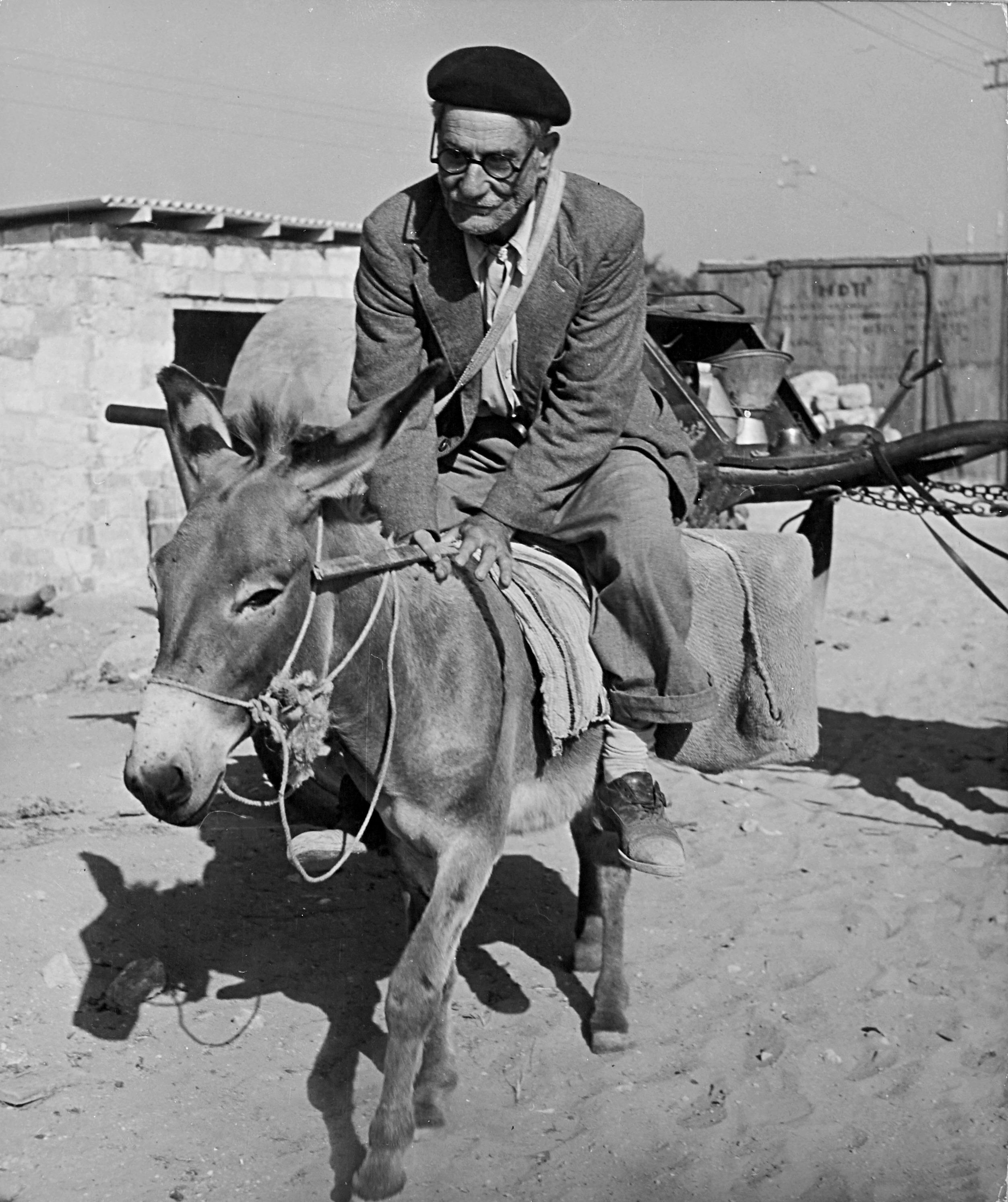 Israel, new immigrants from Shanghai, New York and Yugoslavia 1948-1950 ...