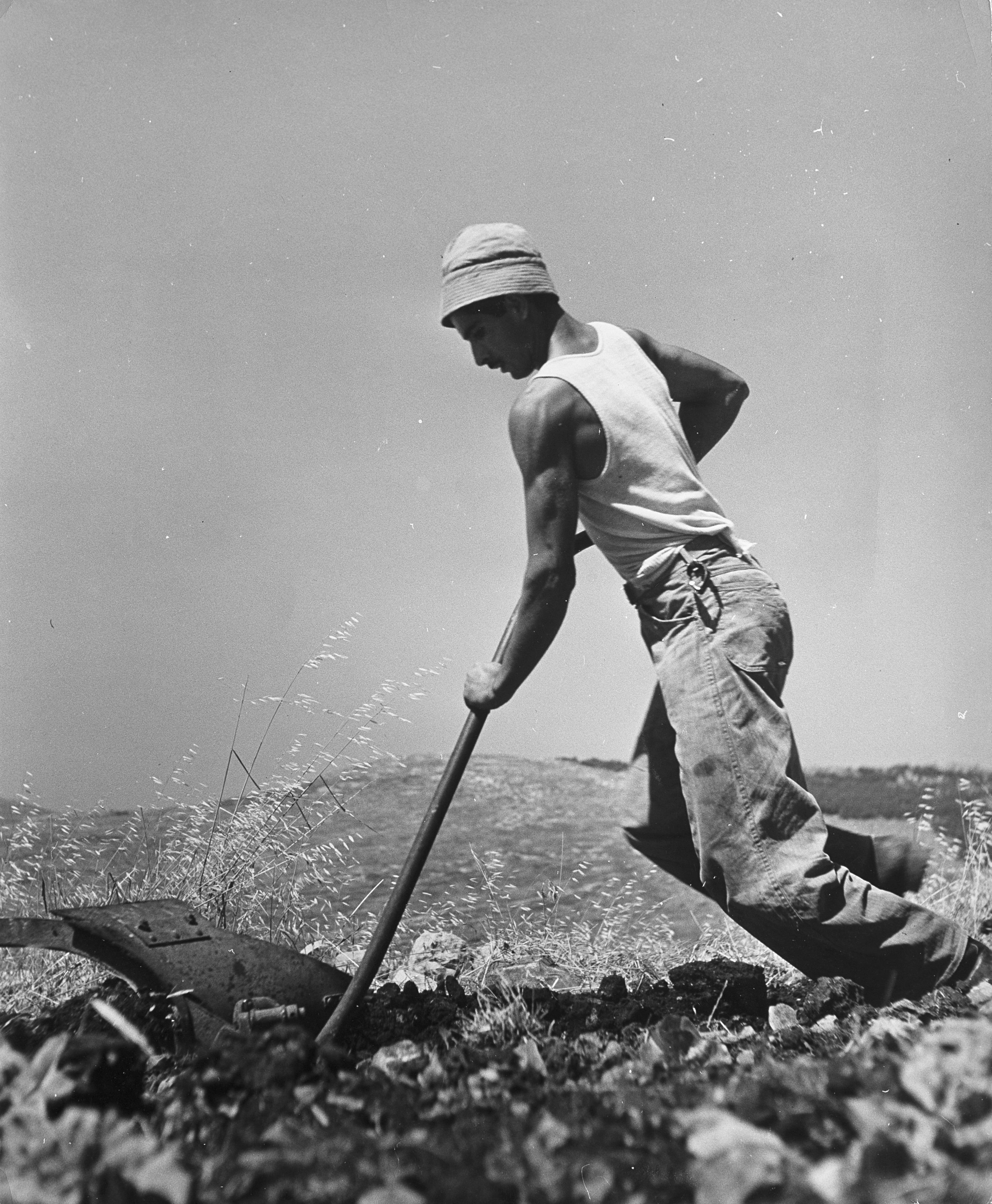Israel, The new settlement. A young french jew 1948-1950 by Robert Capa ...