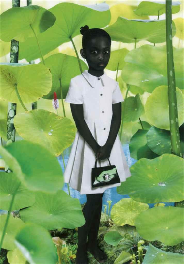 World #16, 2006 by Ruud Van Empel | Art.Salon