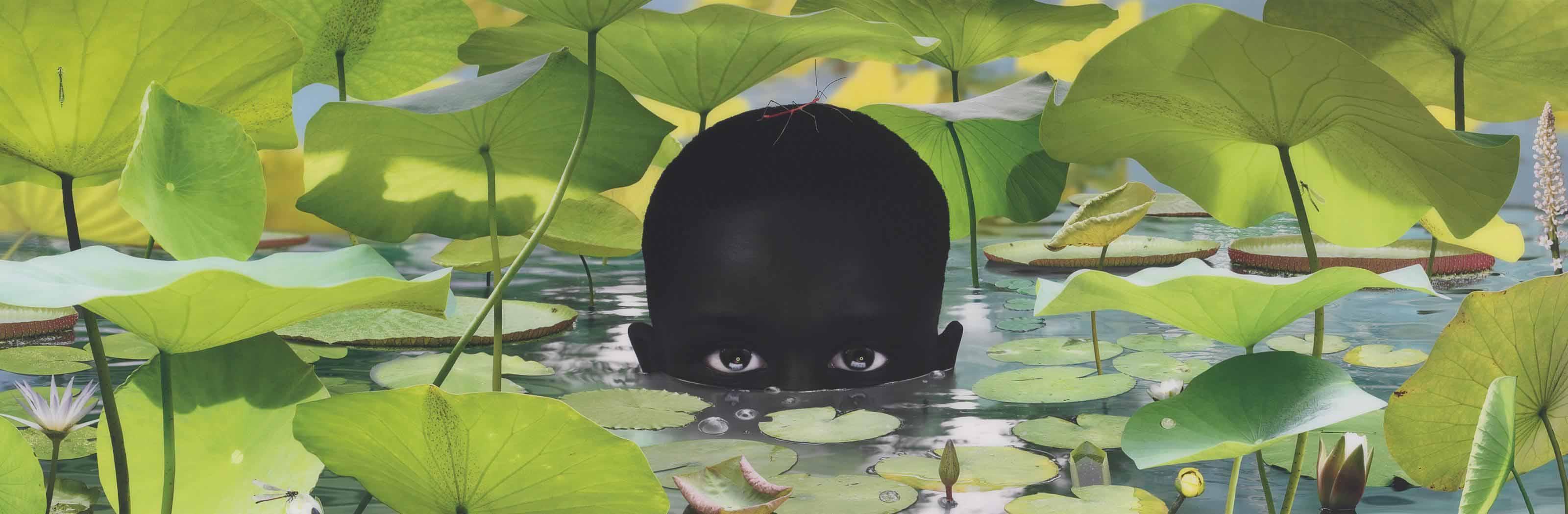 World #17, 2006 by Ruud Van Empel | Art.Salon