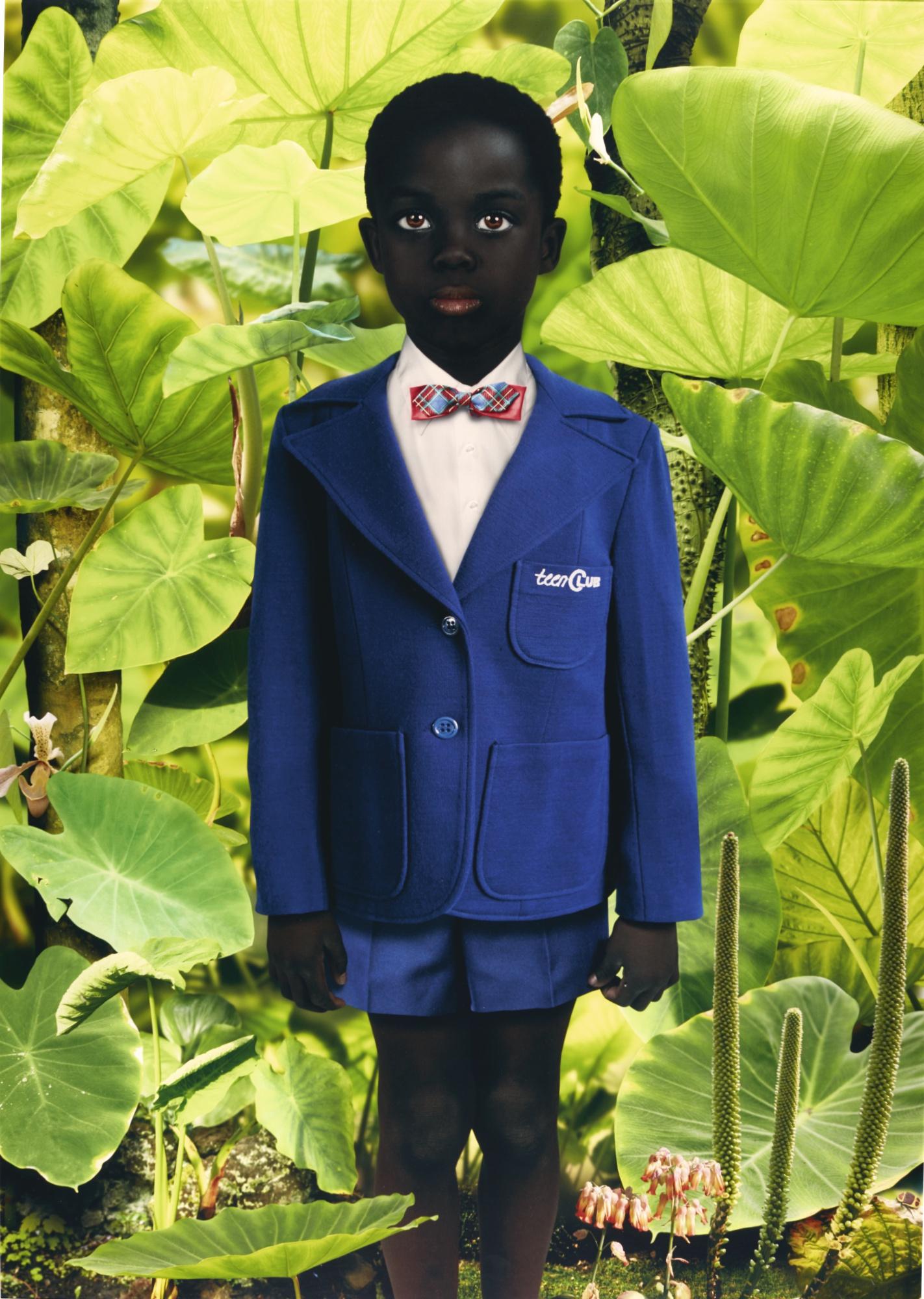 'World #18', 2006 by Ruud van Empel | Art.Salon