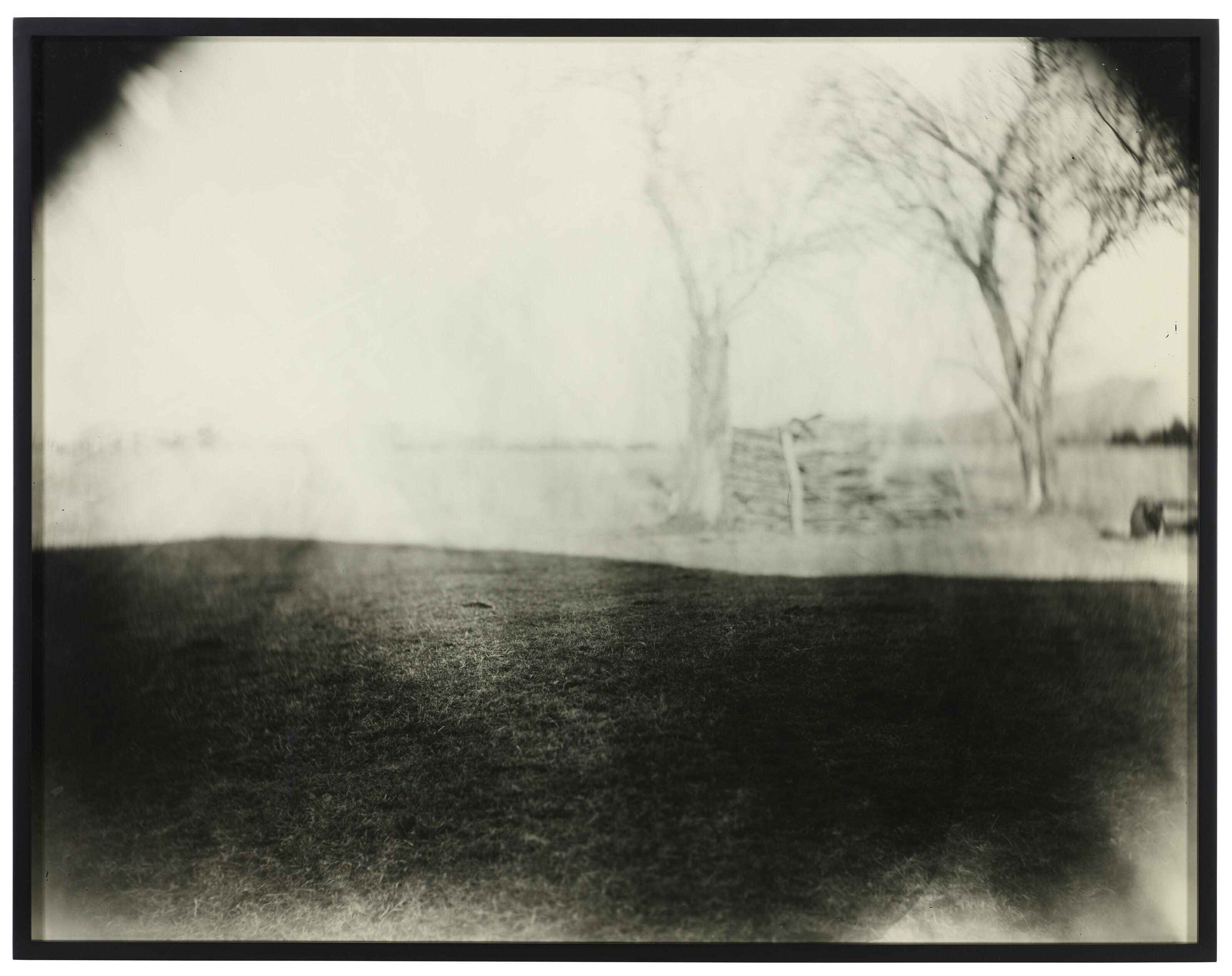 Untitled (Dodd’s Farm), from the series Georgia, 1996 by Sally Mann ...