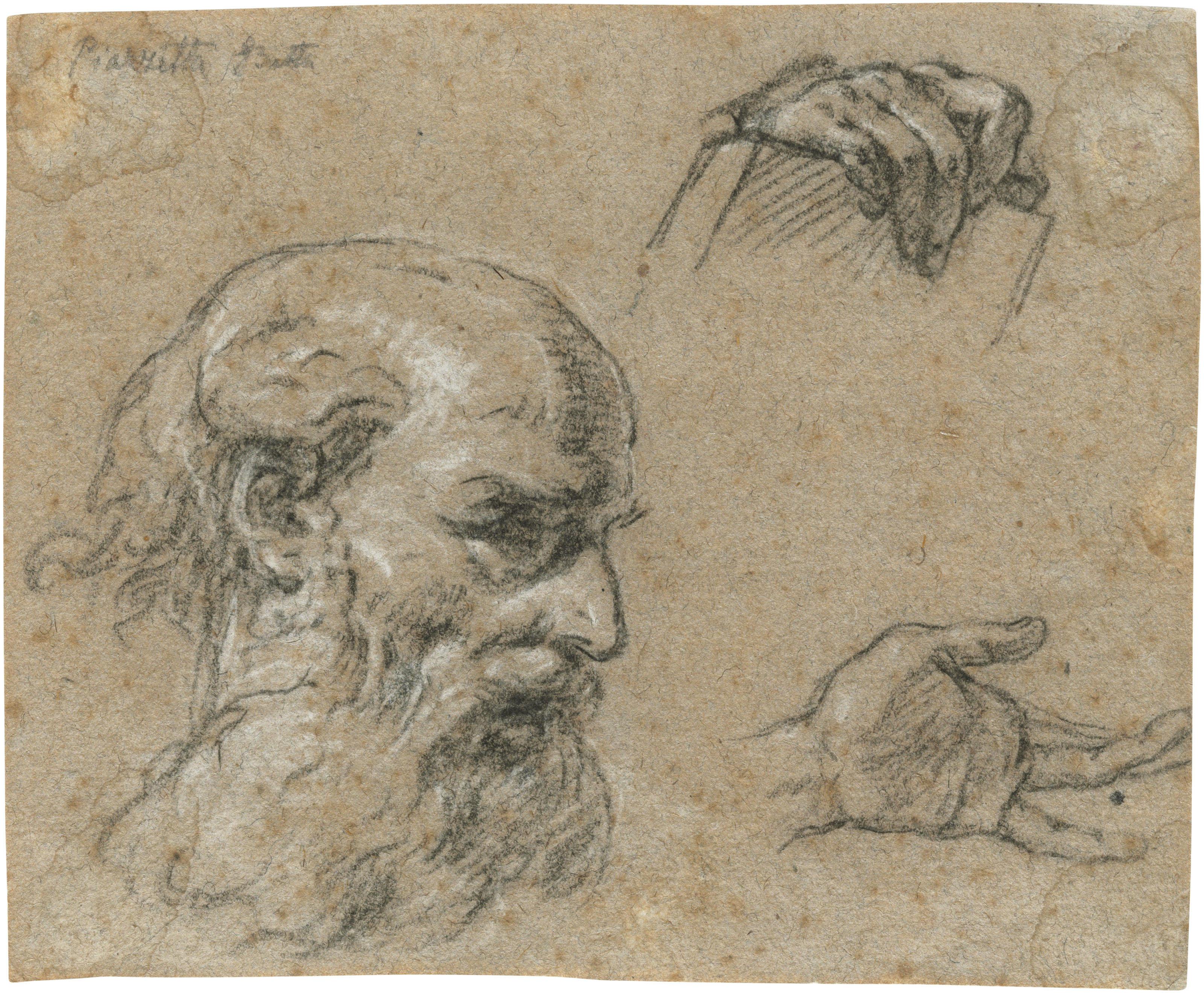 Study of a man's head looking right and two hands | Art.Salon